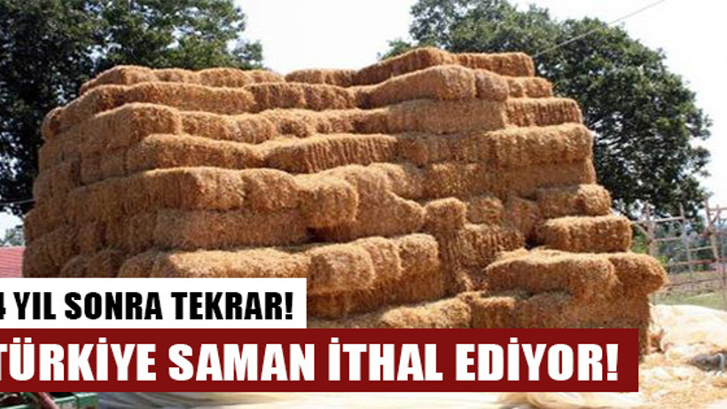 Türkiye Bulgaristan'dan 9 bin ton saman ithal etmek için anlaşma yaptı